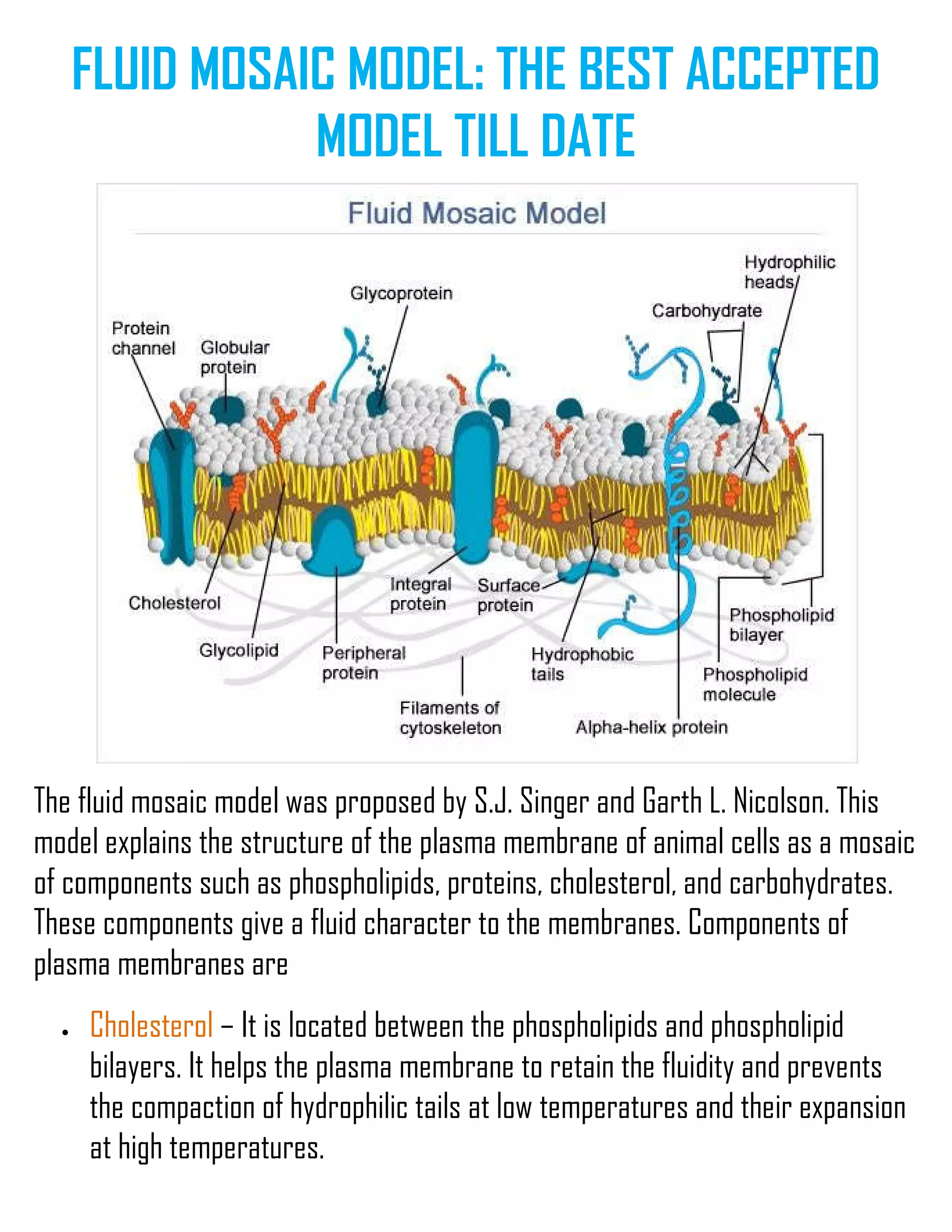 Cell membrane theories | PDF