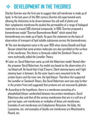 Cell membrane theories | PDF