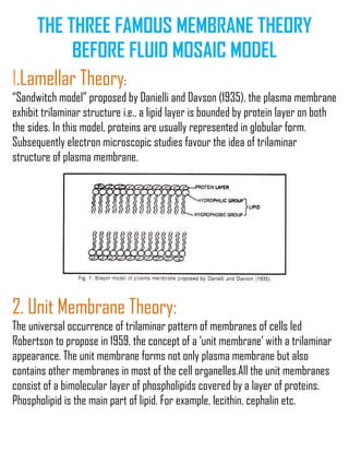 Cell membrane theories | PDF