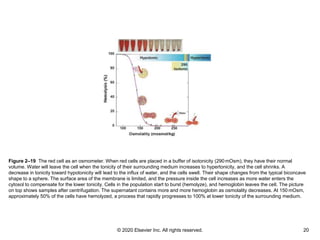 Cell membrane 2022.ppt