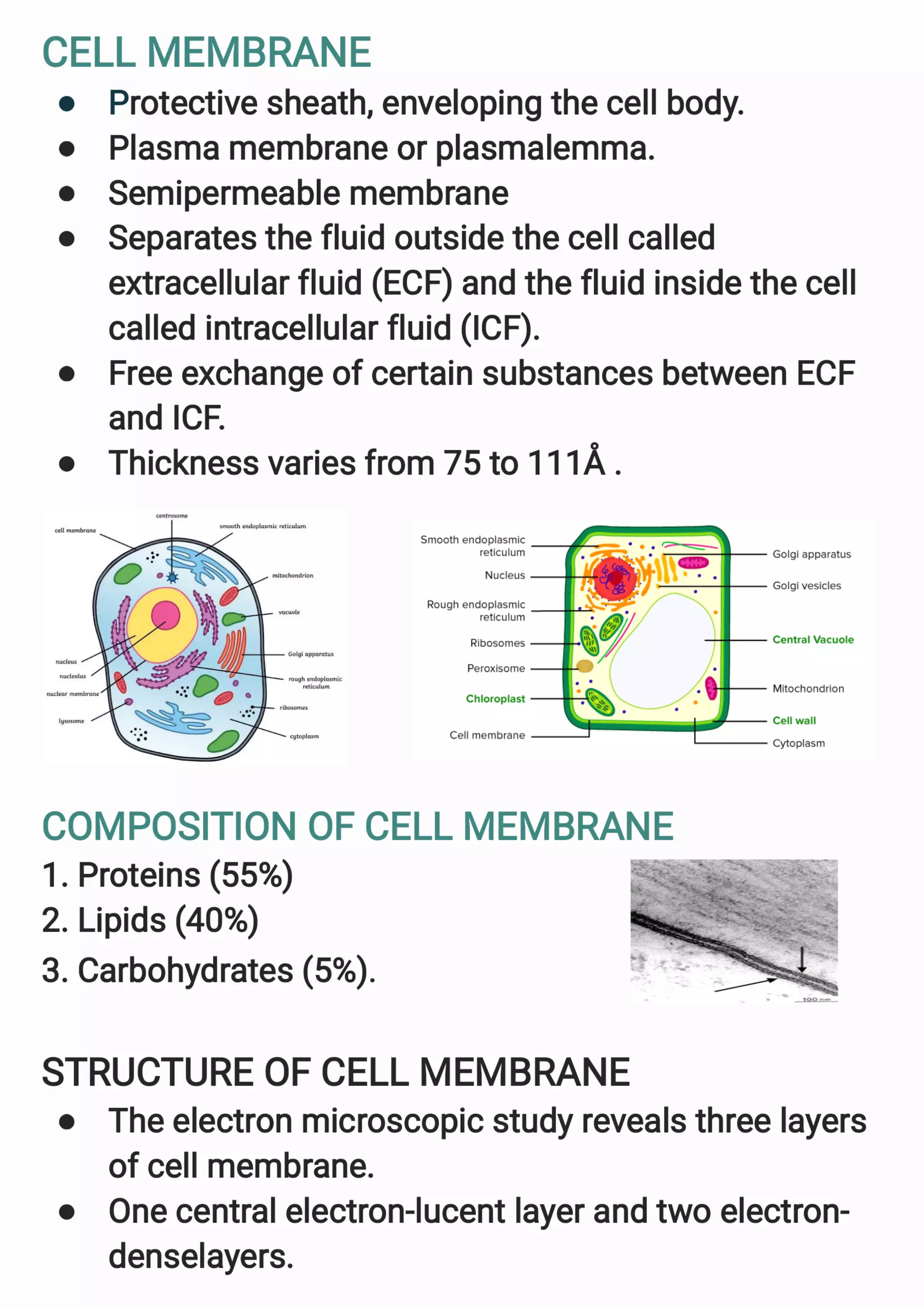 Cell membrane | PDF