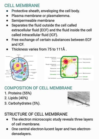Cell membrane | PDF