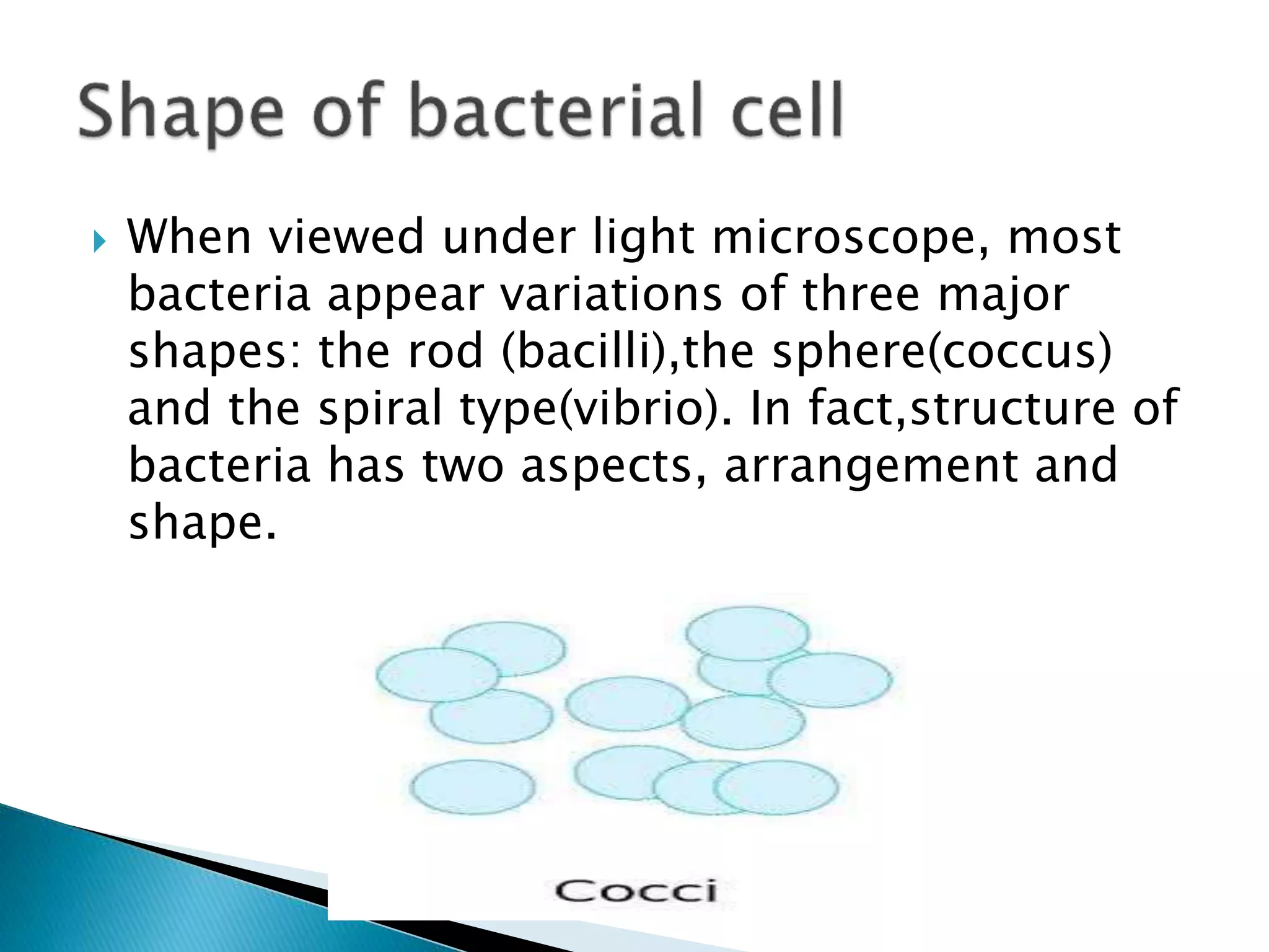 Cell membrane and cell morphology | PPTX