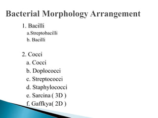Cell membrane and cell morphology | PPTX