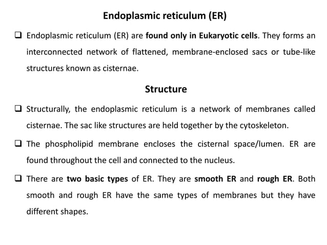 Cell membrane and endoplasmic reticulum | PPTX | Chemistry | Science