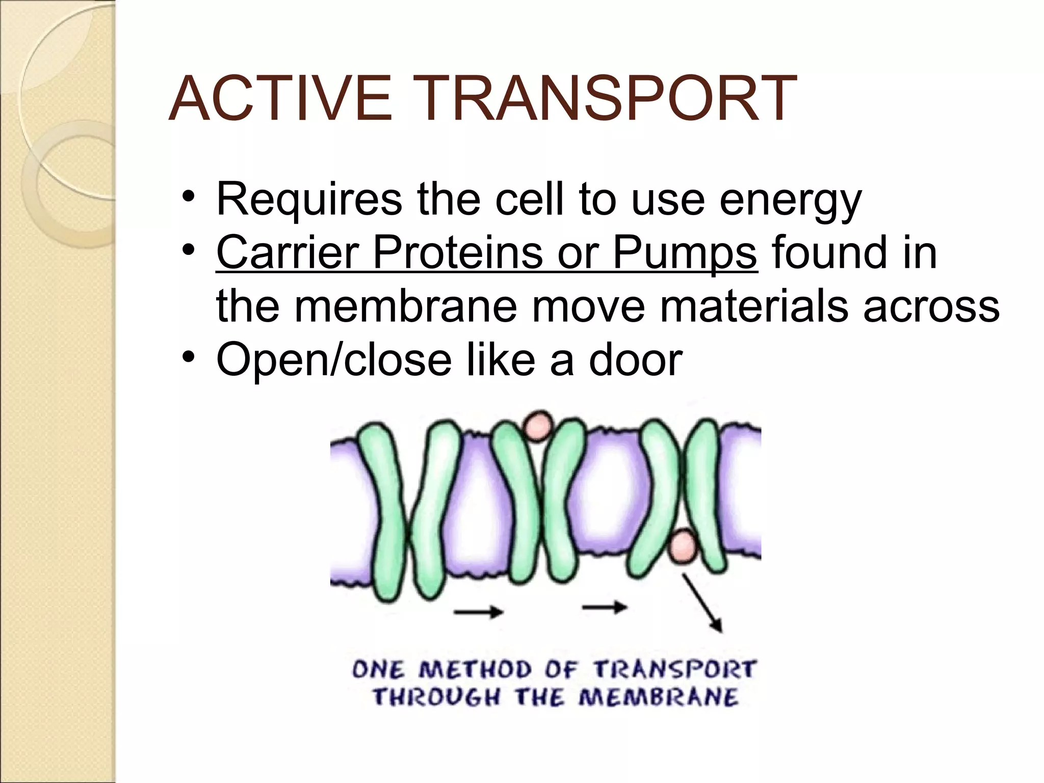 Cell membrane and transport | PPT