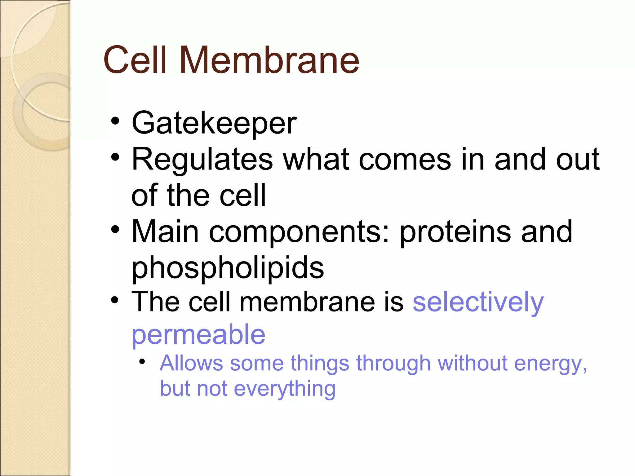 Cell membrane and transport | PPT