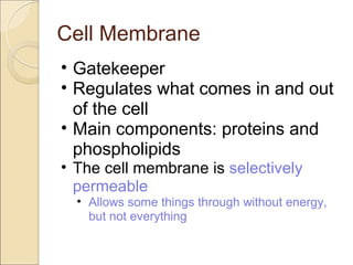 Cell membrane and transport | PPT