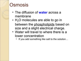 Cell membrane and transport | PPT
