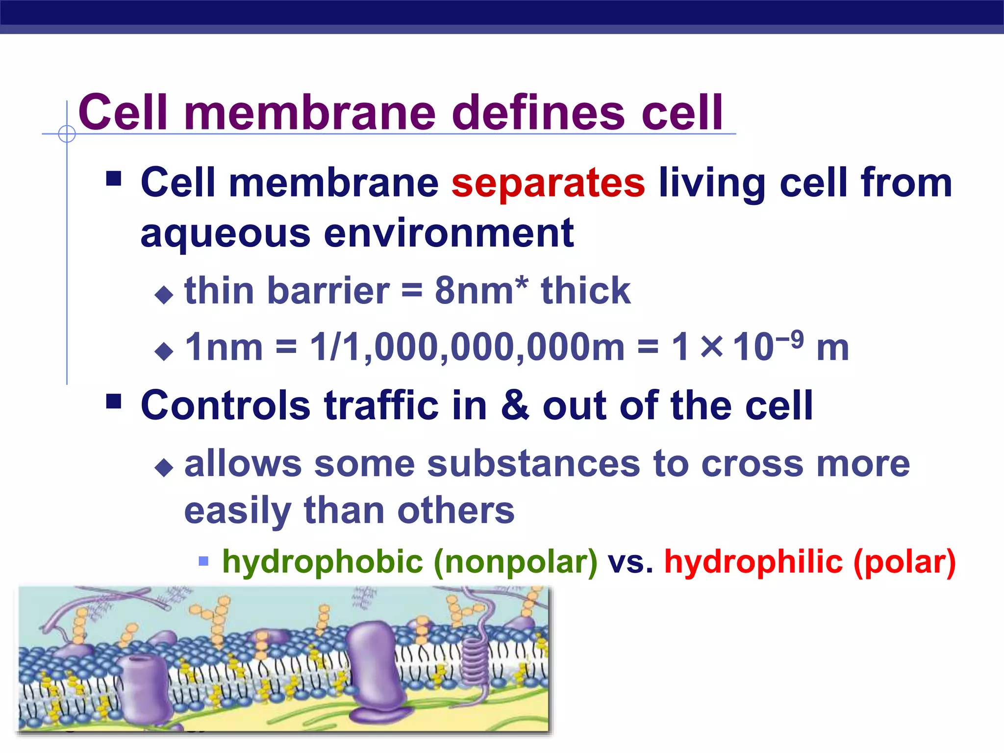 Cell membrane and transport | PPT