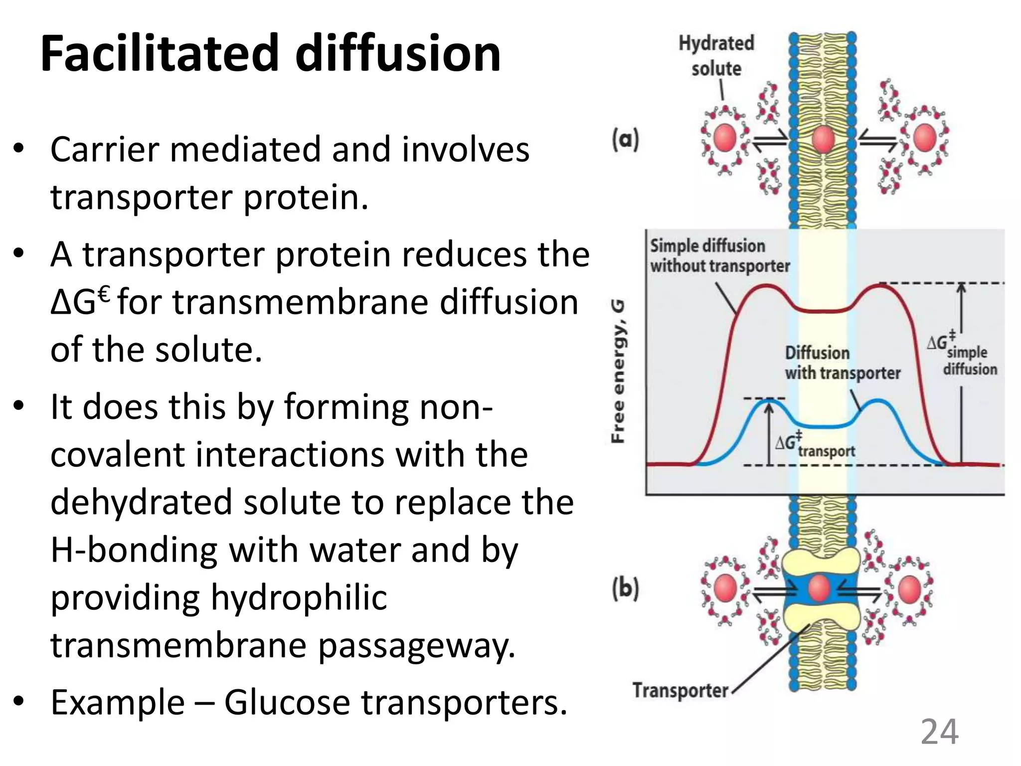 Cell membrane and transport | PPTX