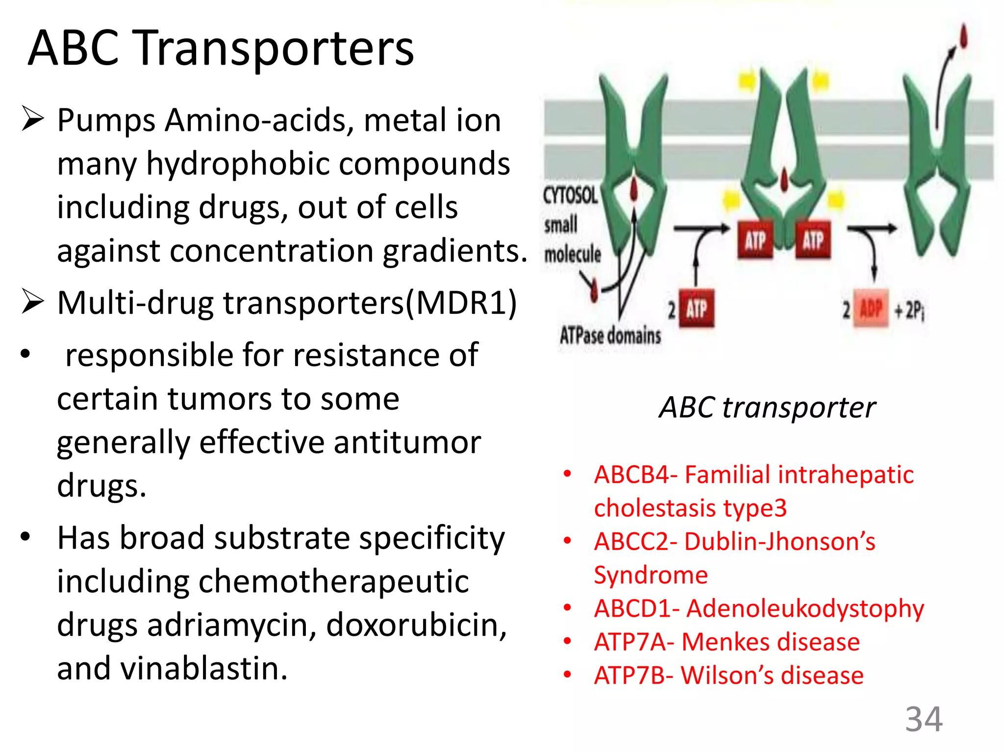 Cell membrane and transport | PPTX