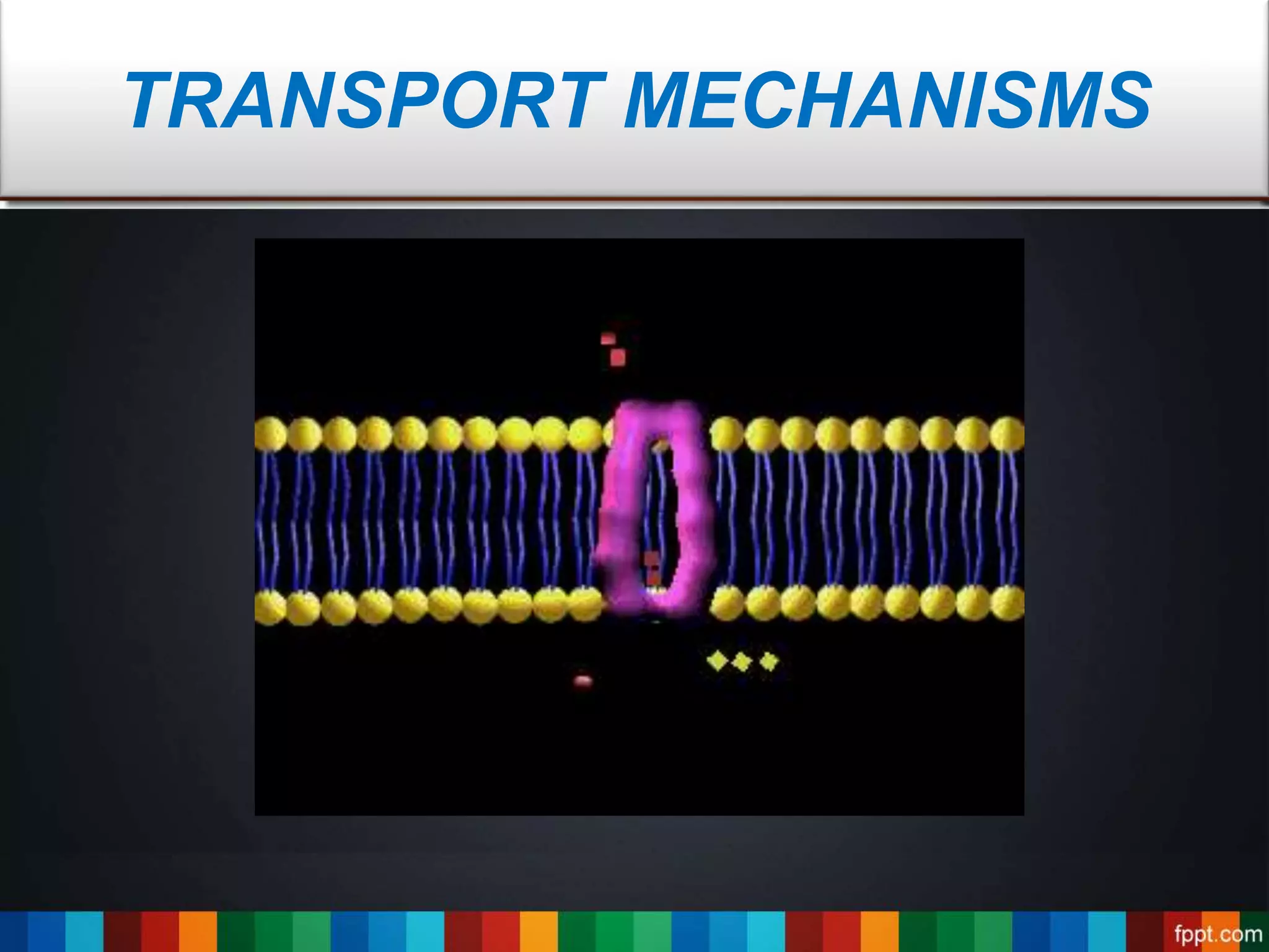 Cell membrane and transport mechanisms | PPTX