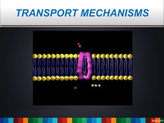 Cell membrane and transport mechanisms | PPTX