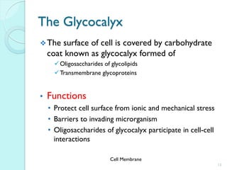 Cell membrane bch405 mic_3 | PPT