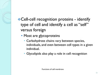 Cell membrane bch405 mic_3 | PPT