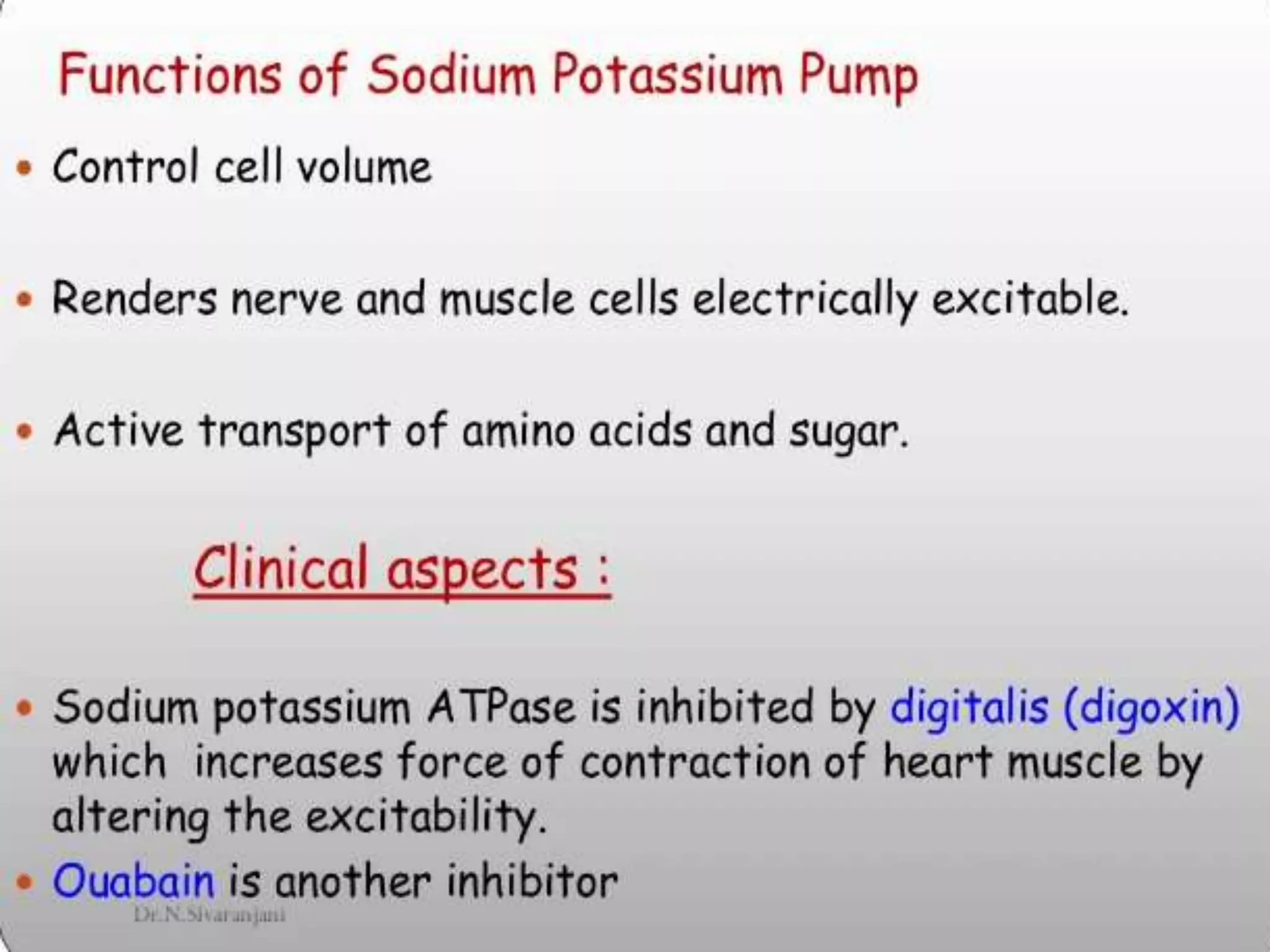 Cell Membrane BDS.pptx