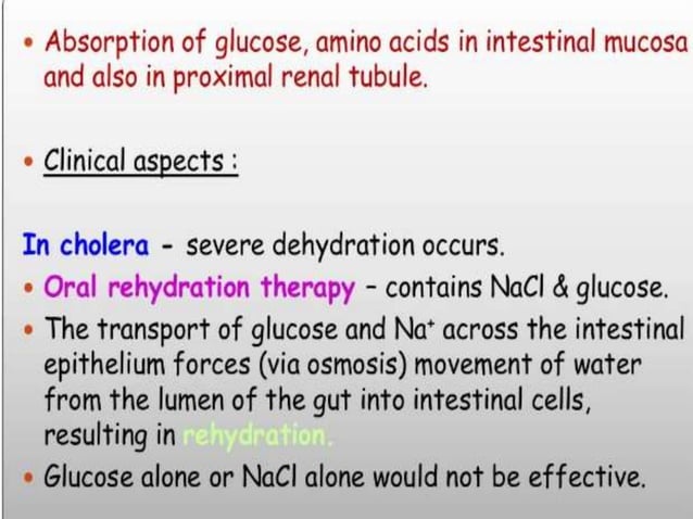 Cell Membrane BDS.pptx