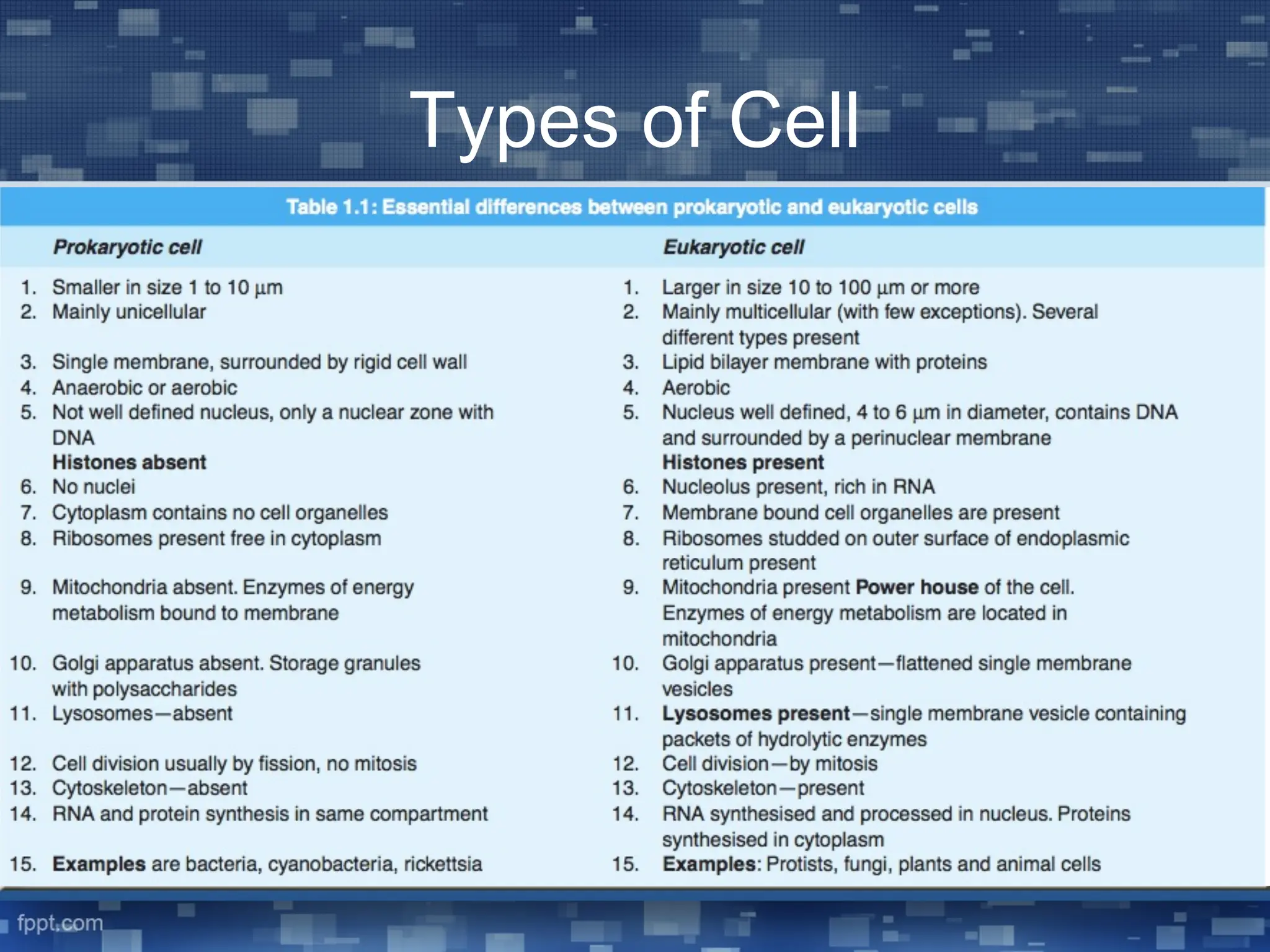 Cell Membrane Composition and Function_240417_114329.pdf