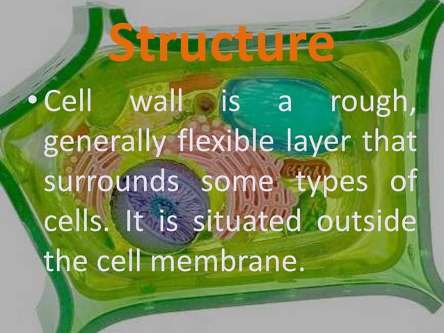 Cell membrane and cell wall | PPTX | Biological Sciences | Science