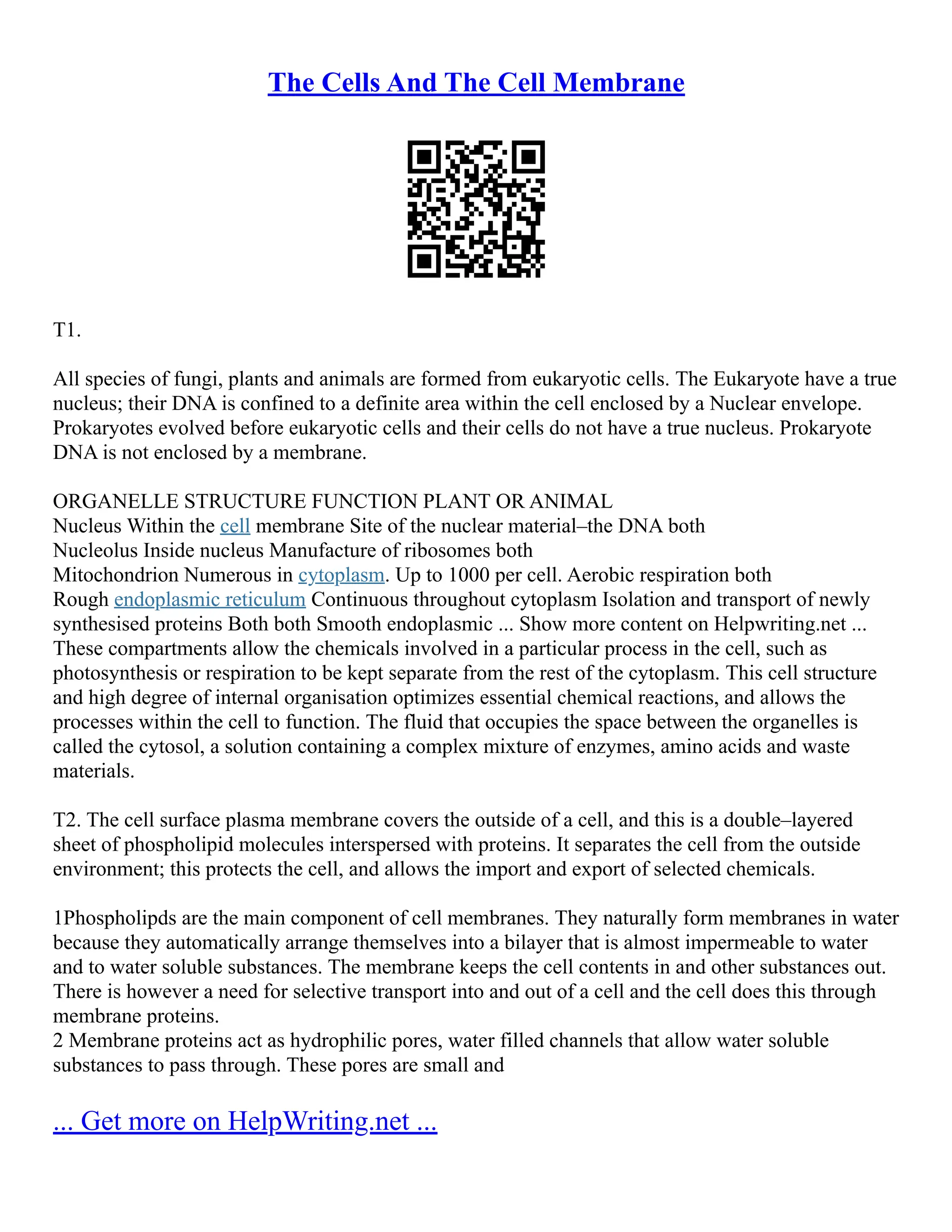 Cell Membrane Diffusion | PDF