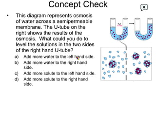 Honors - Cell membrane ~ diffusion and osmosis 1011 | PPT