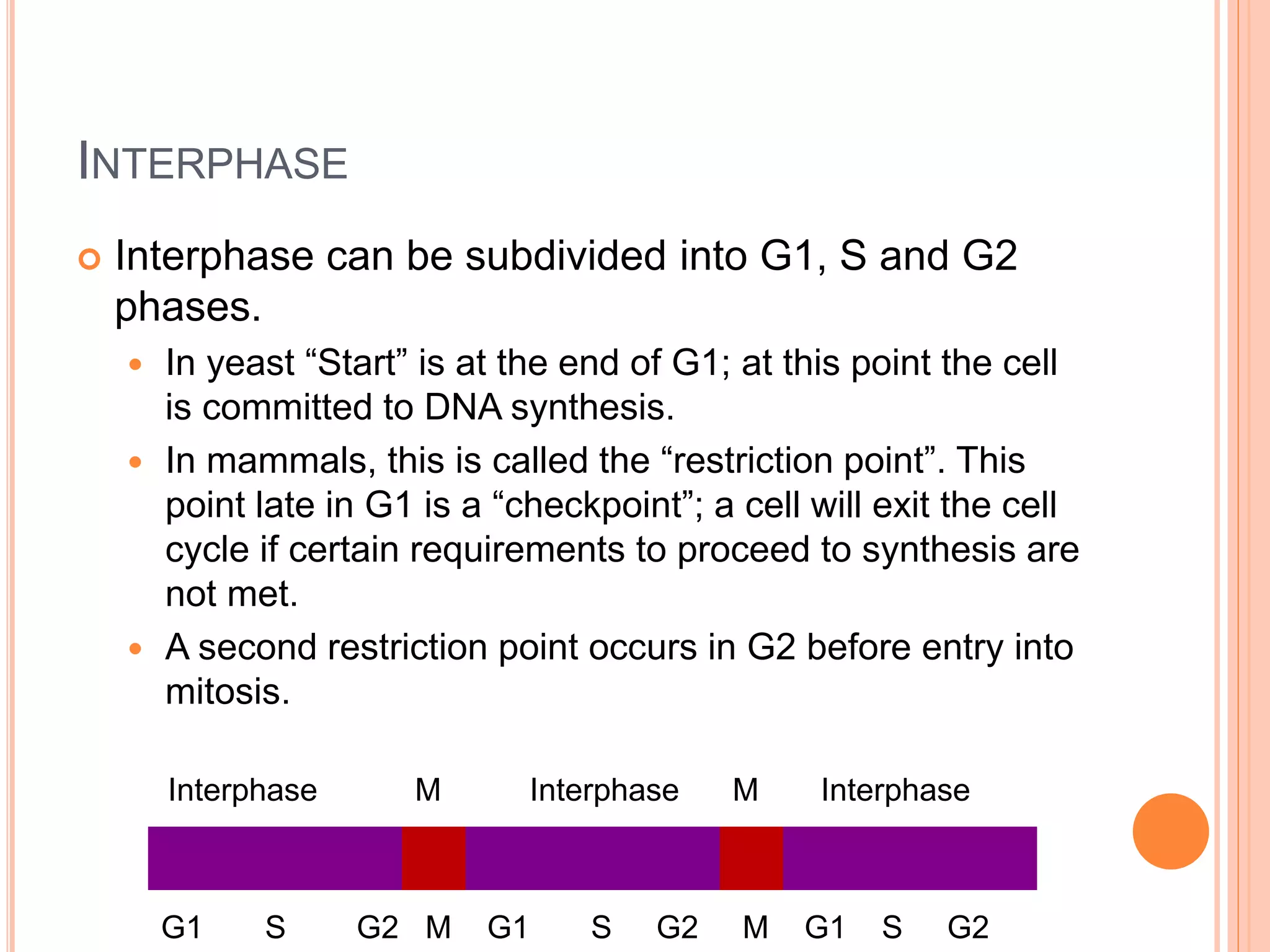 Cell membrane function and cell cycle | PPTX