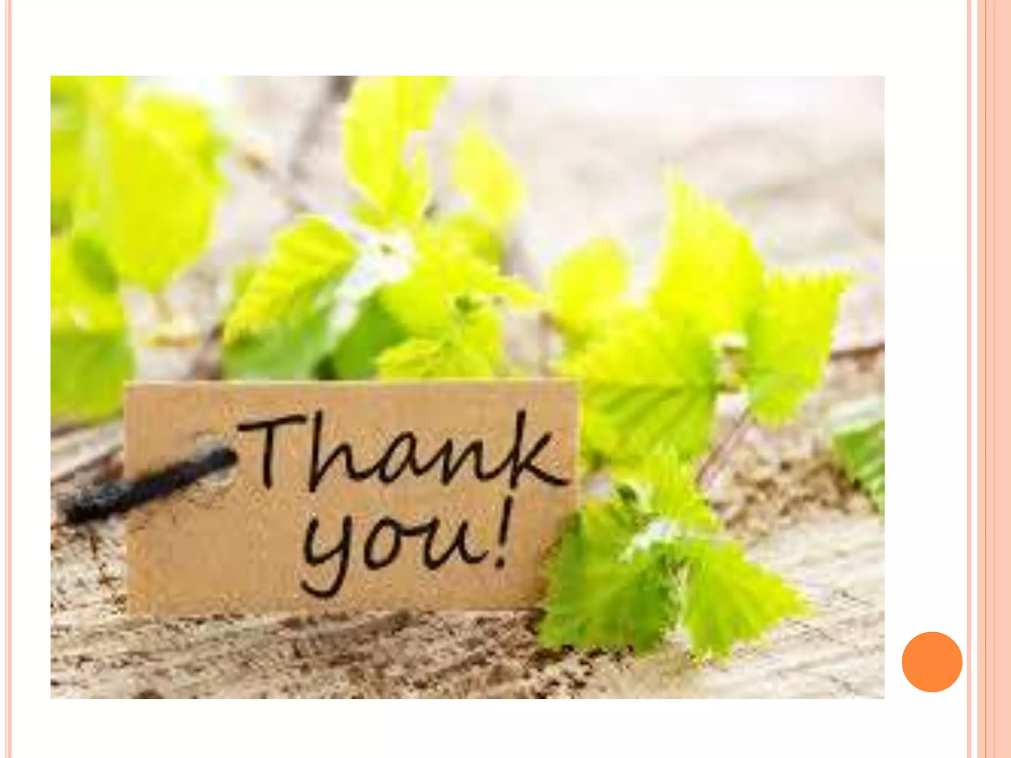 Cell membrane function and cell cycle | PPTX