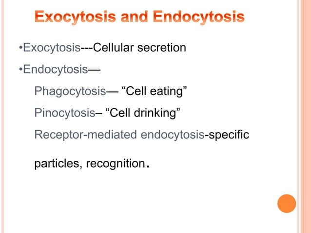 Cell membrane function and cell cycle | PPTX | Biological Sciences | Science