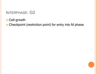 Cell membrane function and cell cycle | PPTX