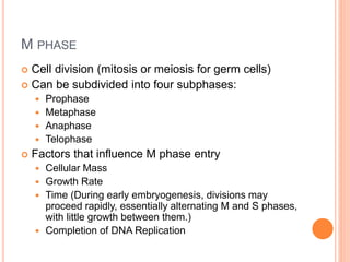 Cell membrane function and cell cycle | PPTX