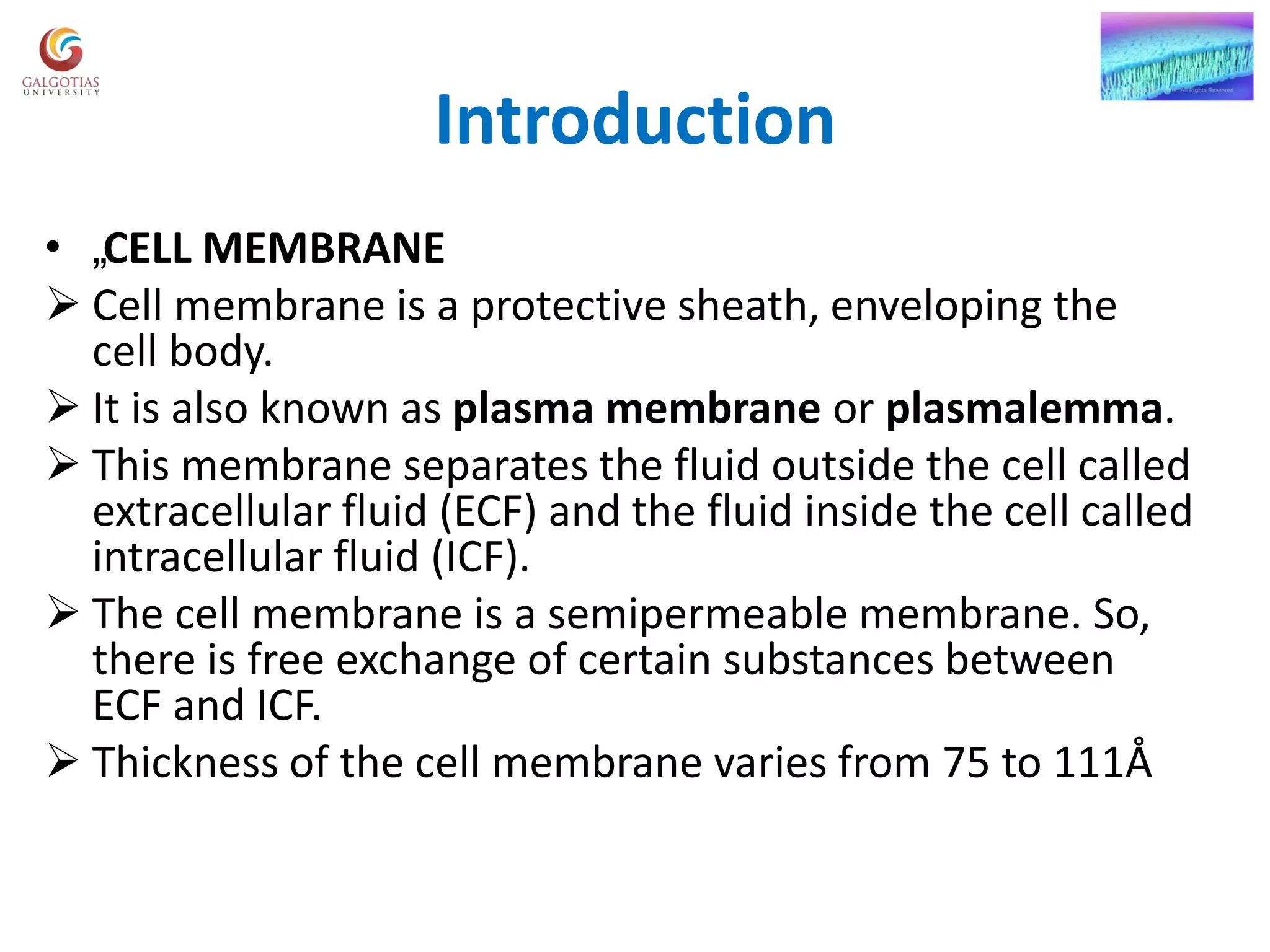 Cell membrane functions | PPT