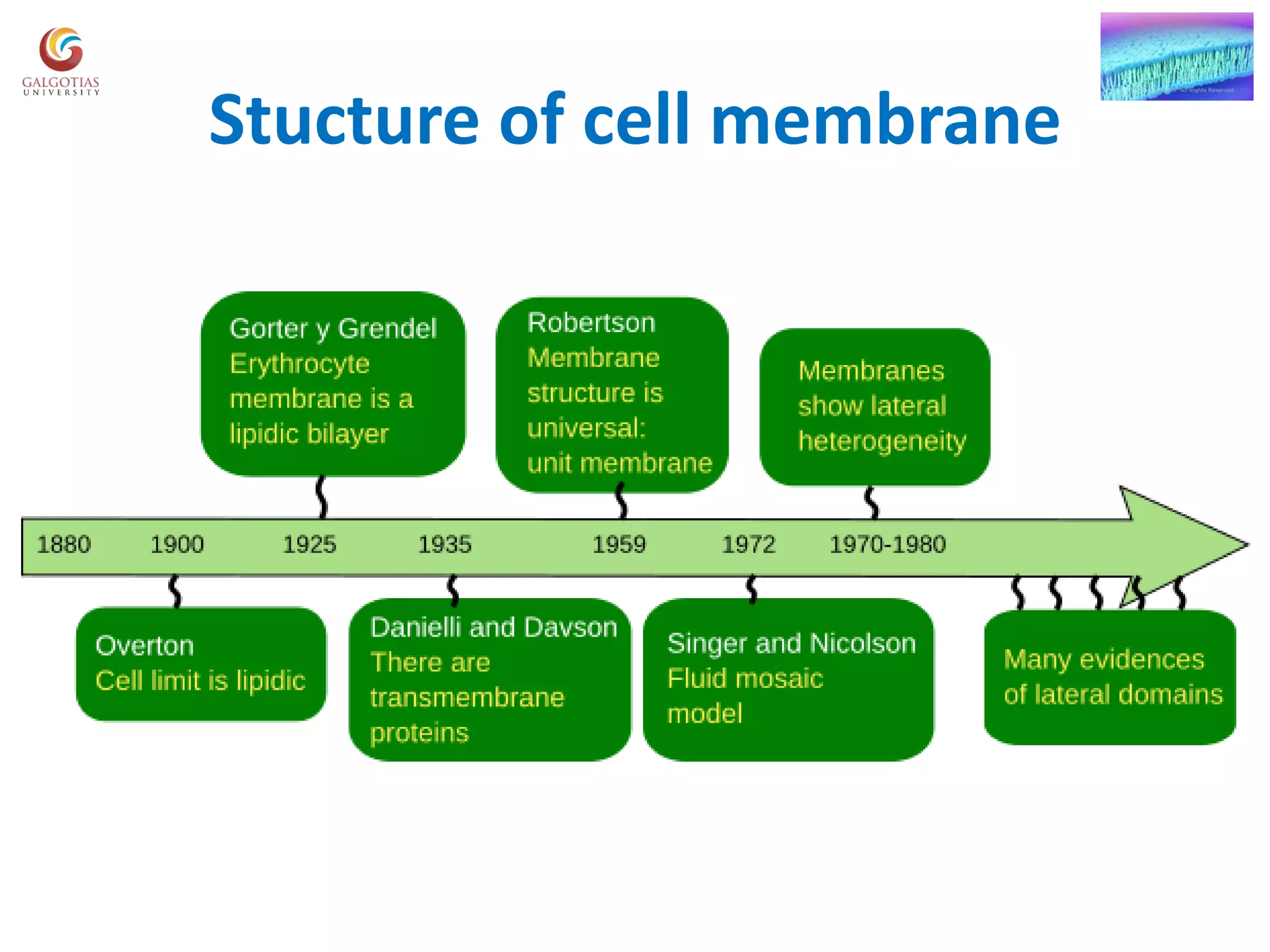 Cell membrane functions | PDF