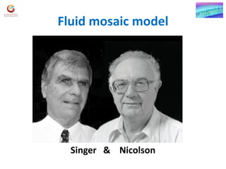 Cell membrane functions | PDF