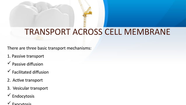 cellmembrane Lecture-1 physiology bds .pptx