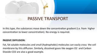 cellmembrane Lecture-1 physiology bds .pptx