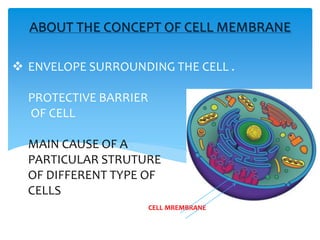 Cell membrane main 1 | PPTX | Biological Sciences | Science