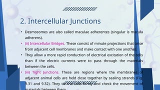 OVERVIEW CELL MEMBRANE MODIFICATION.pptx