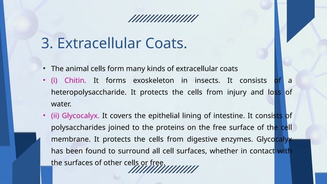 OVERVIEW CELL MEMBRANE MODIFICATION.pptx