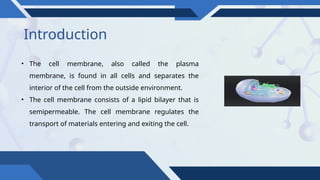 OVERVIEW CELL MEMBRANE MODIFICATION.pptx