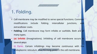OVERVIEW CELL MEMBRANE MODIFICATION.pptx