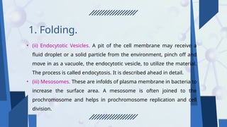 OVERVIEW CELL MEMBRANE MODIFICATION.pptx