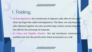 OVERVIEW CELL MEMBRANE MODIFICATION.pptx
