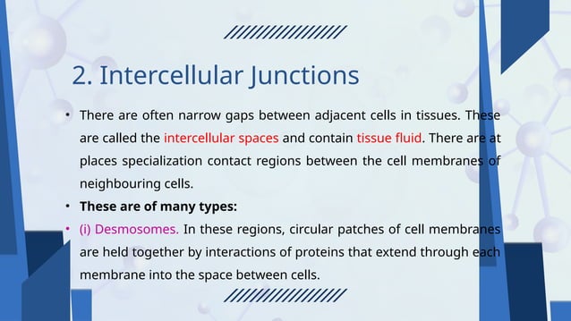 OVERVIEW CELL MEMBRANE MODIFICATION.pptx