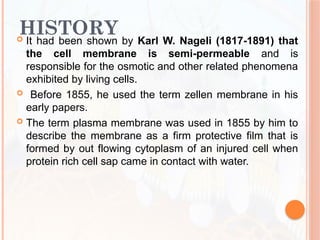 Cell Membrane it's composition, functions.pptx