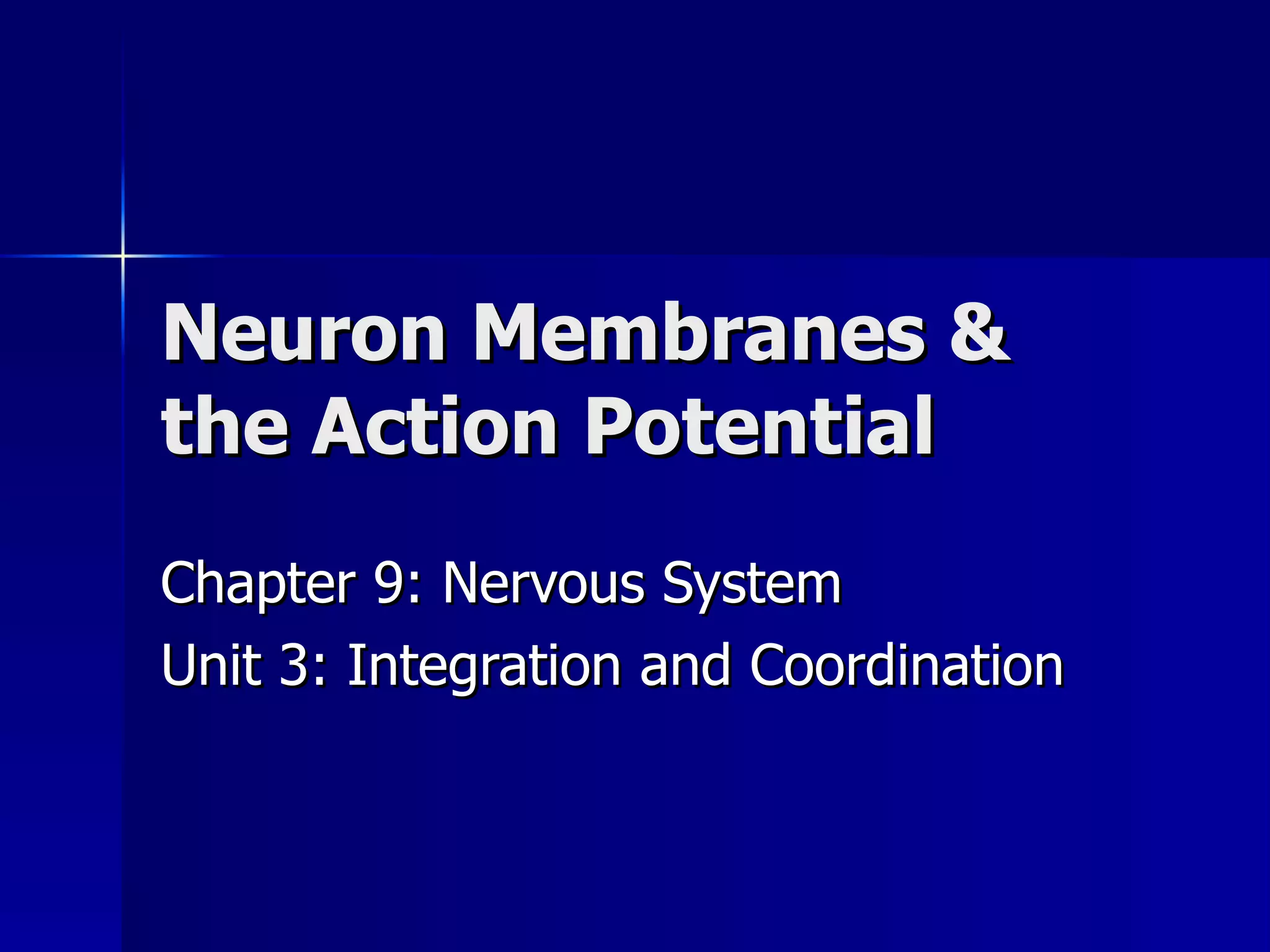 Cell membrane potential | PPT