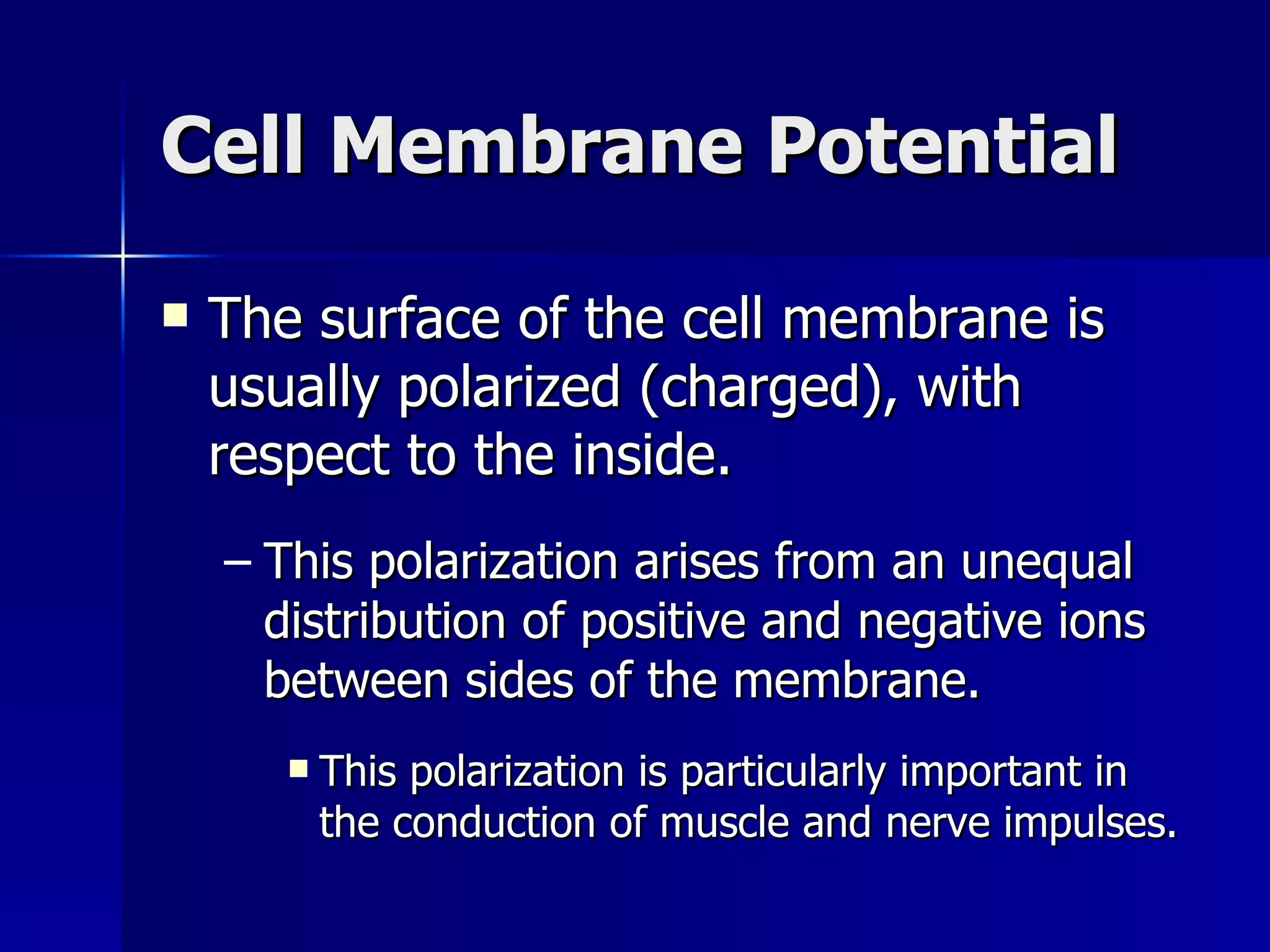 Cell membrane potential | PPT