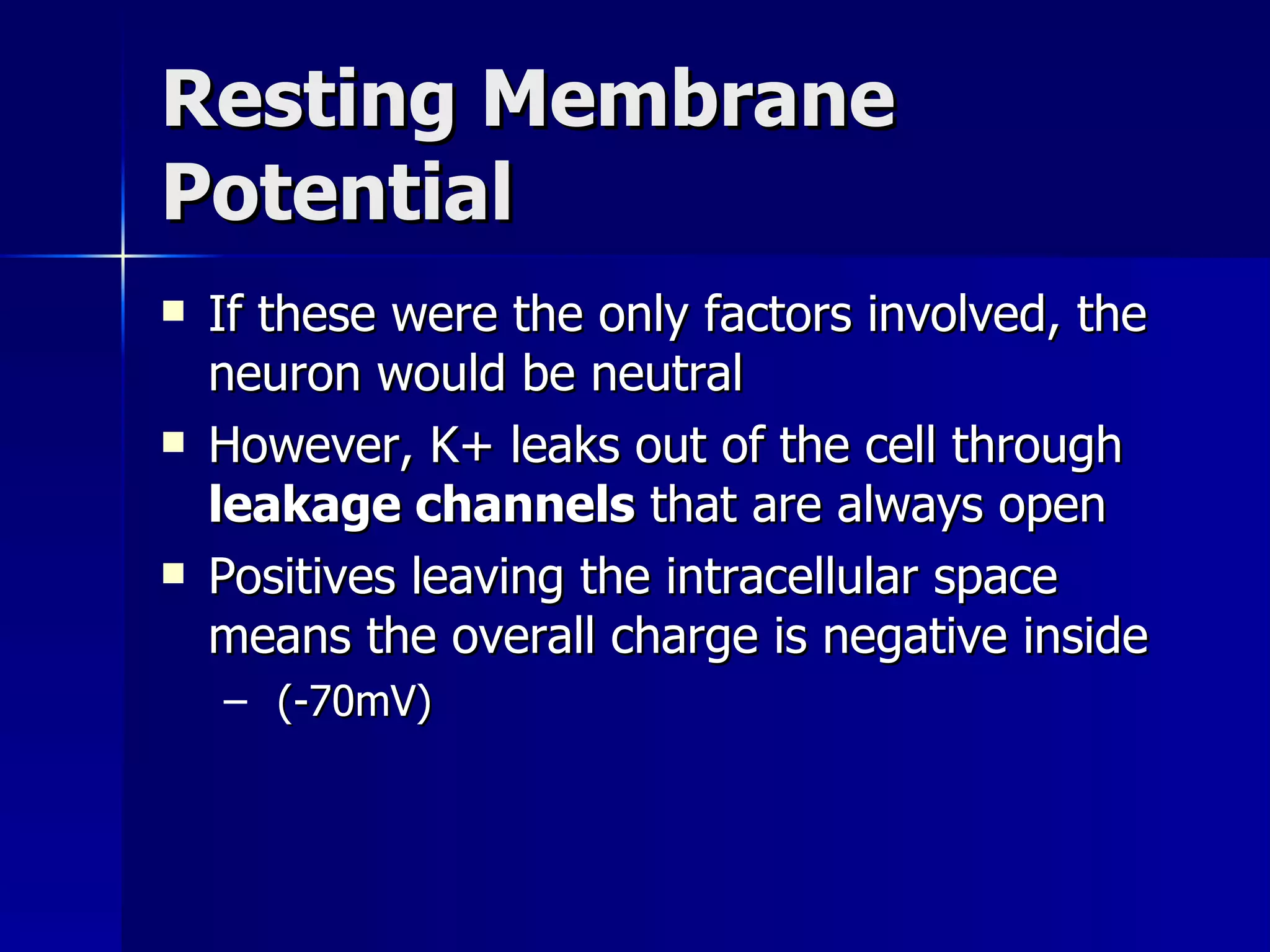 Cell membrane potential | PPT