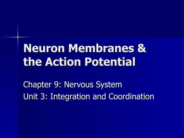 Cell membrane potential | PPT | Computer Networking | Computing
