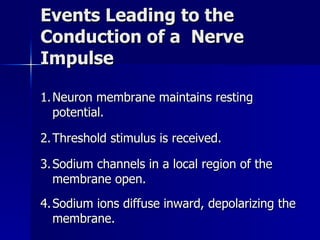 Cell membrane potential | PPT
